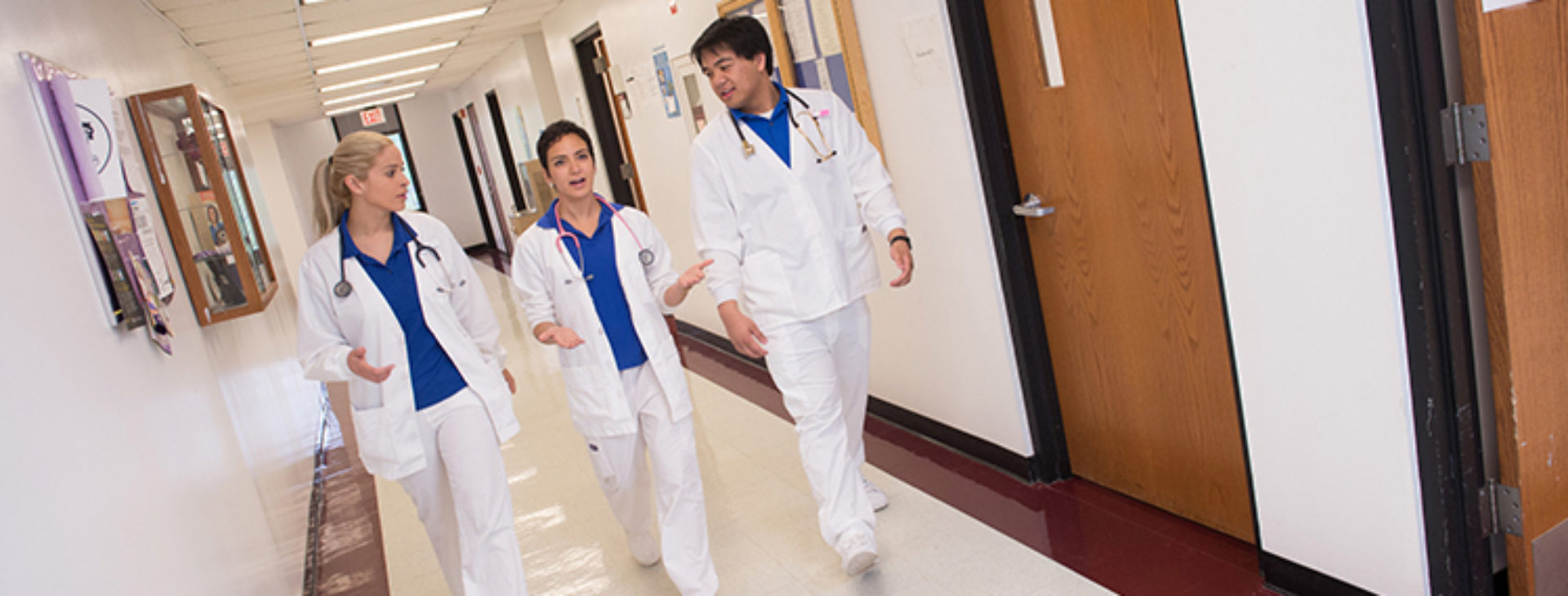 Radiologic Technology BS | Fairleigh Dickinson University