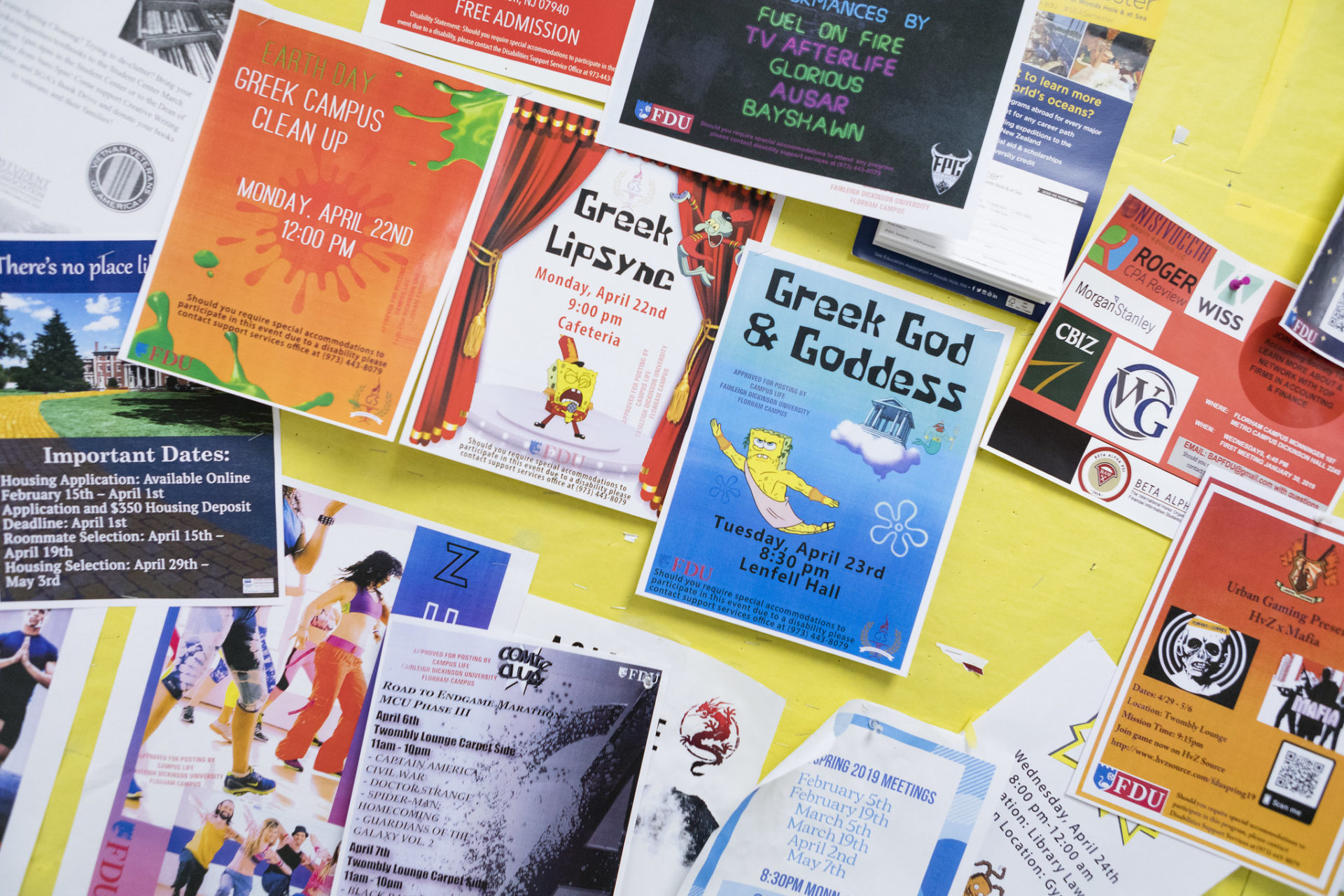 Student Clubs and Organizations | Fairleigh Dickinson University