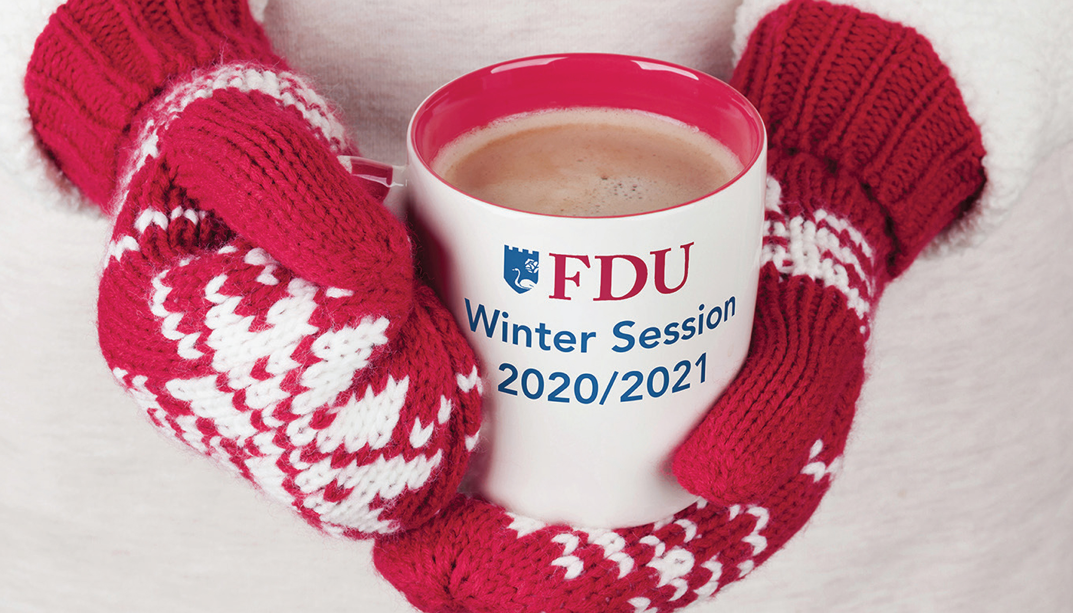 Homepage | Fairleigh Dickinson University