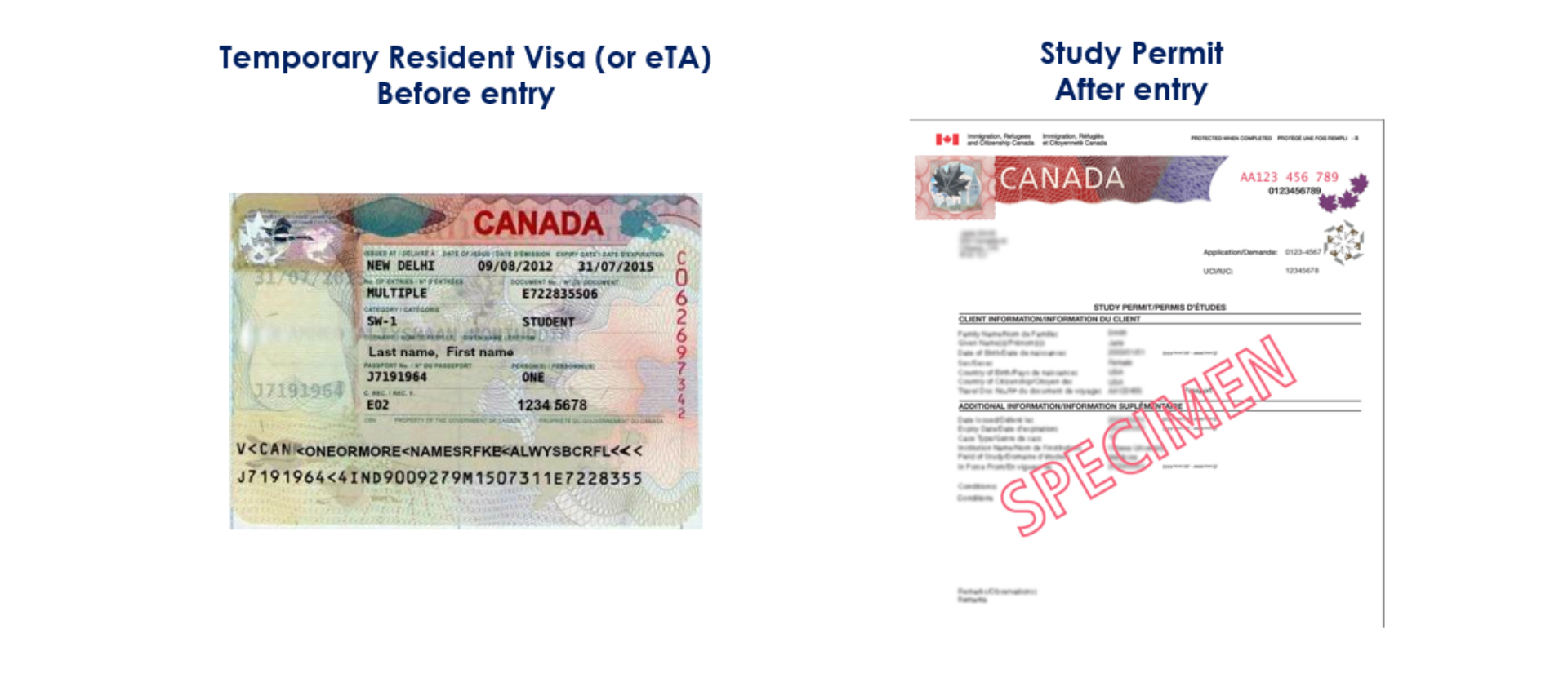 Study Permit | Fairleigh Dickinson University