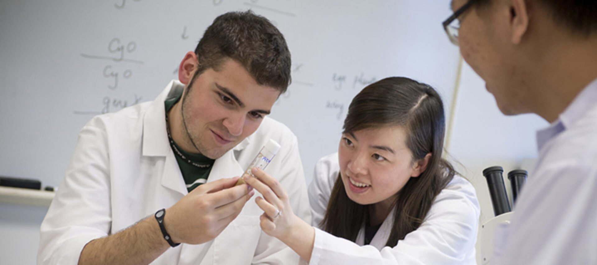 General Science AS: Health Studies Concentration | Fairleigh Dickinson ...